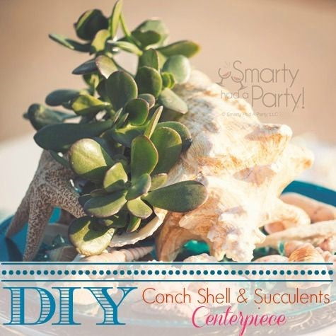 DIY Conch Shell & Succulent Centerpieces | Kaya Tableware – The Kaya ...