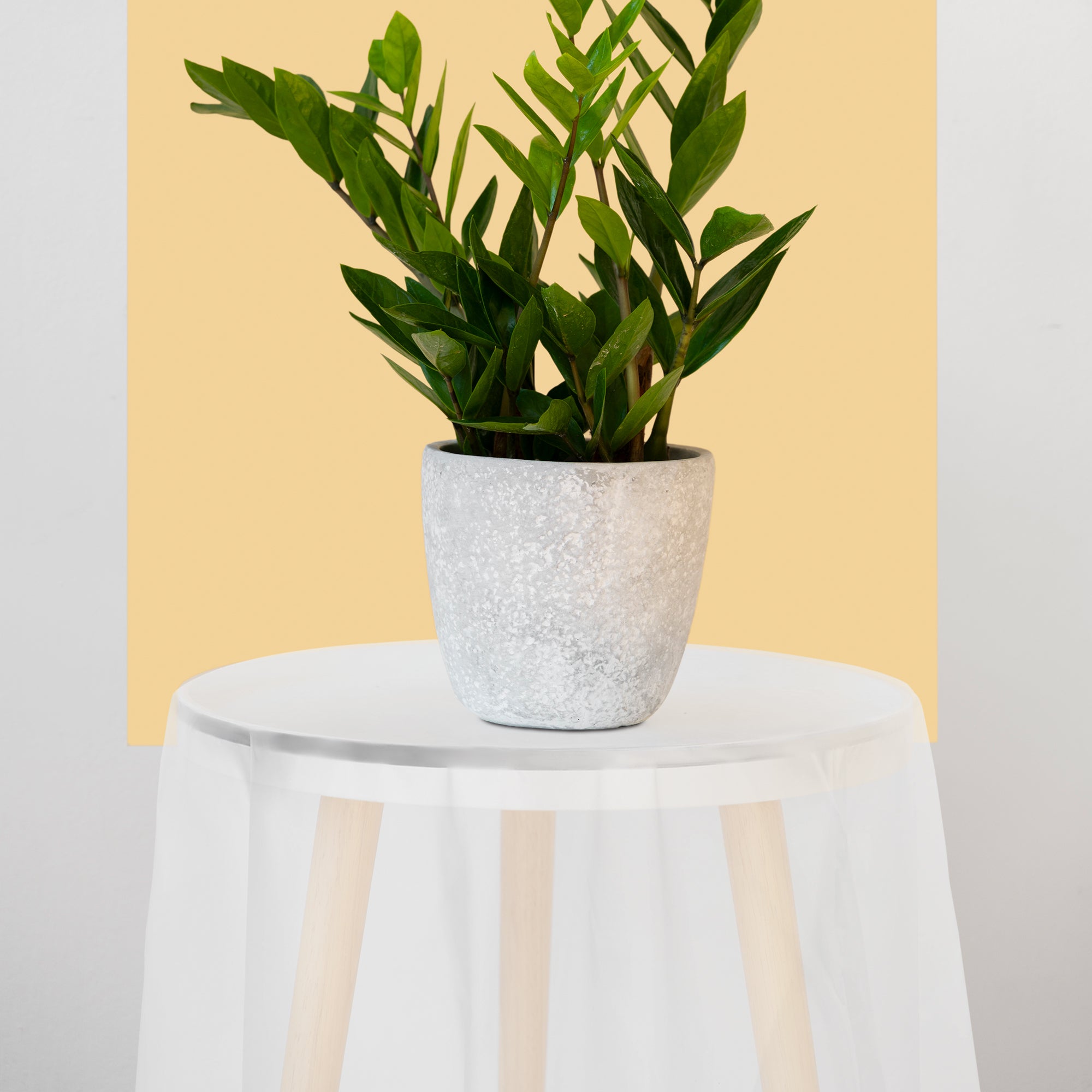 Plastic Tablecloths - Clear Round Tablecovers | Kaya Collection – The ...